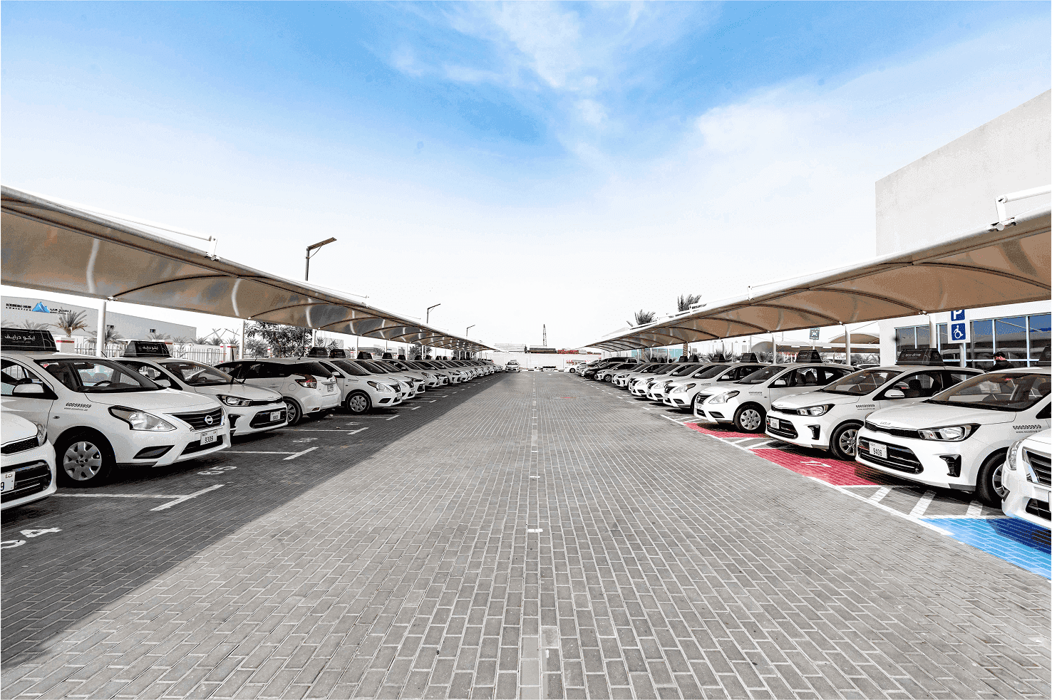 About Eco Drive Driving Institute | Who We Are